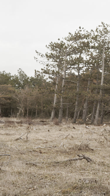 BRUS Carbonator - Stelton